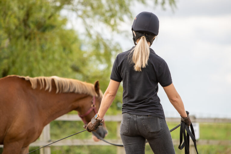 Trusted Pet, Farm & Equine Vets Since 1907 | Haven Vets